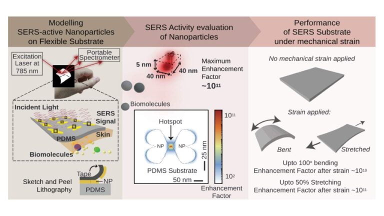 Flexible, stretchable, and single-molecule-sensitive SERS-active sensor ...