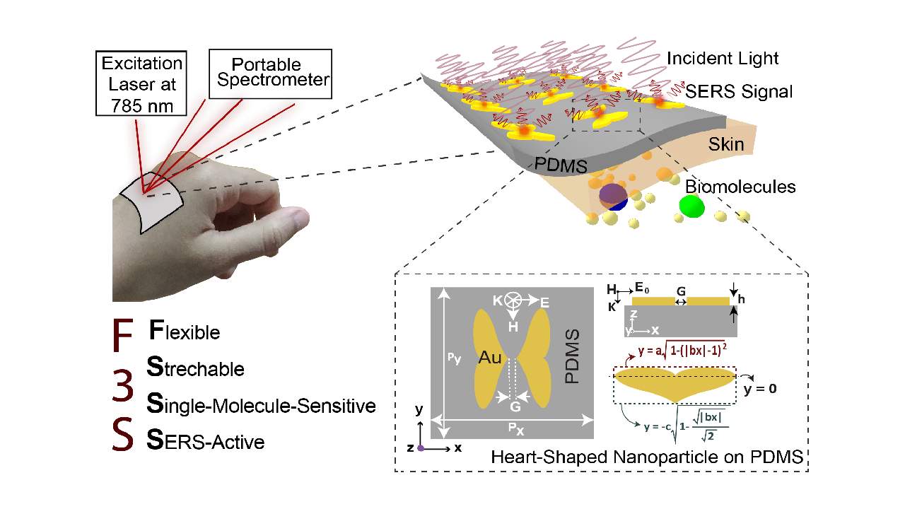 Wearable Sers Sensors