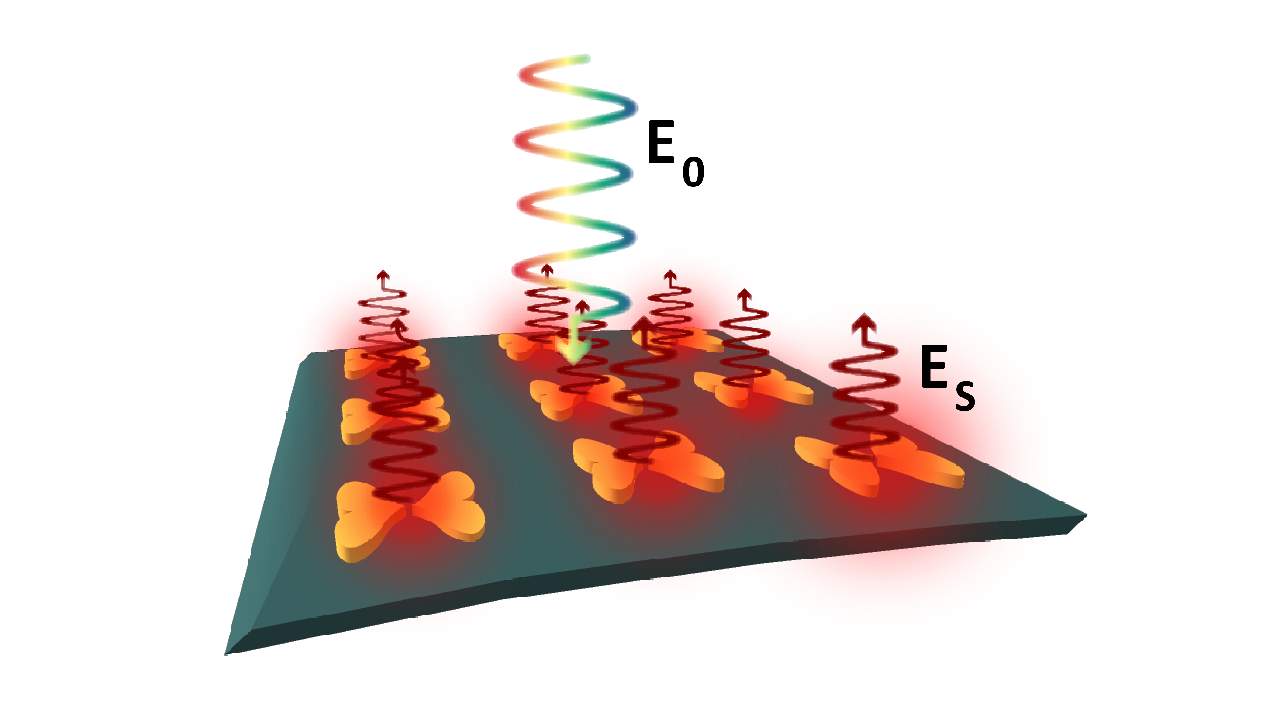 Wearable Sers Sensors
