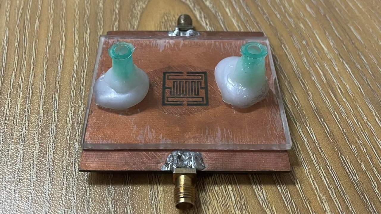 Microwave Based Sensors For Environmental And Biomedical Applications